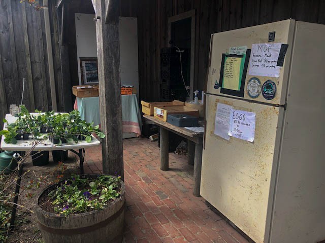 Stir Crazy | Terri Potts-Chattaway