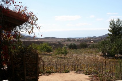 Revisiting Ensenada & Guadalupe Valley | Terri Potts-Chattaway