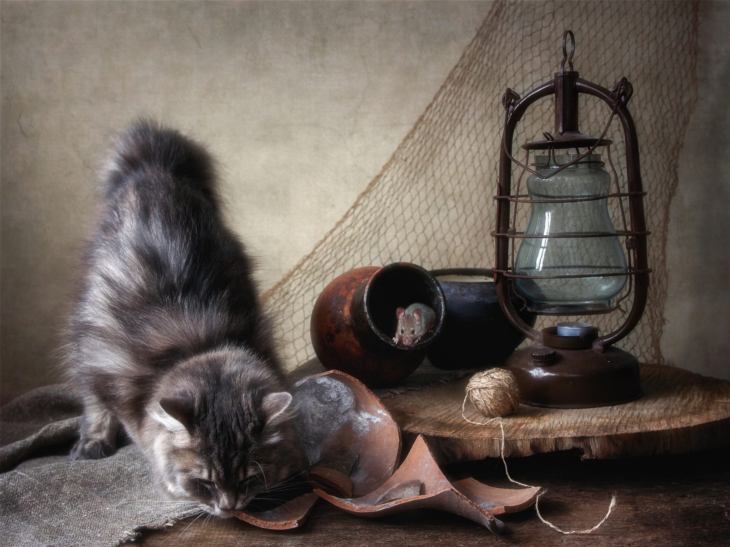 A Warrior's Tale | Terri Potts-Chattaway