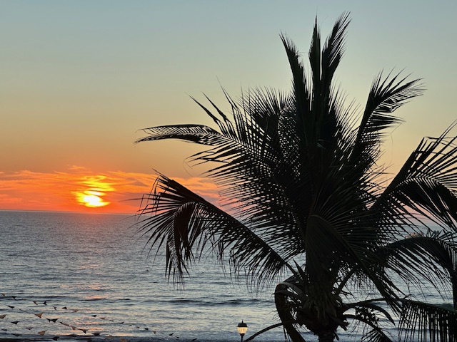 Ready, Set, Go! | Terri Potts-Chattaway